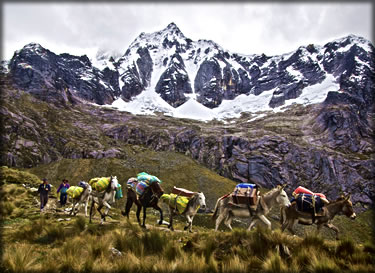 Wilderness Photography